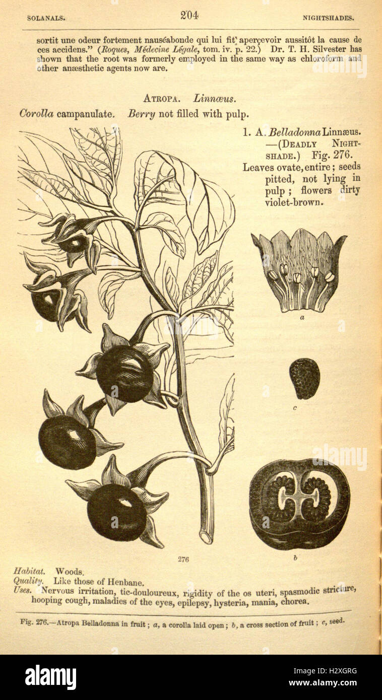 A work on the medicinal and economic uses of plants, exploring their ...