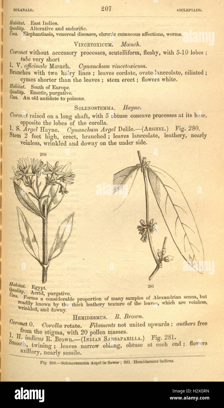 This work explores the medicinal and economic uses of plants, detailing ...