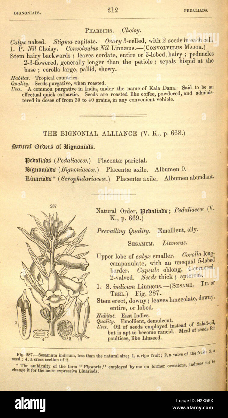 This work examines the medicinal and economic uses of plants, detailing ...
