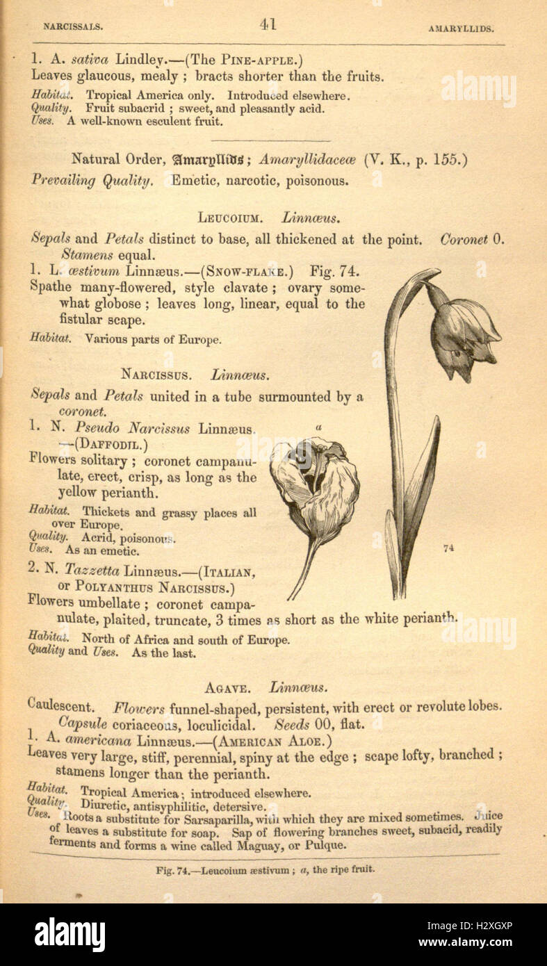 A work focusing on the medicinal and economic uses of plants, with ...