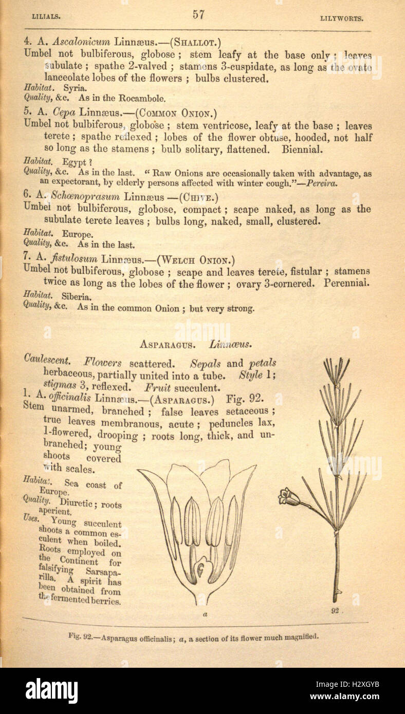 This work explores the medicinal and economic uses of plants, detailing ...