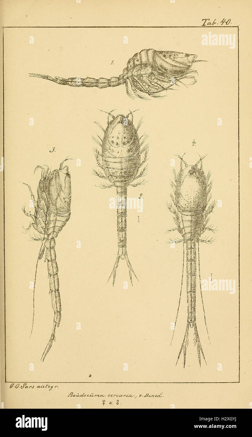 This journal features research articles on mathematics and natural ...