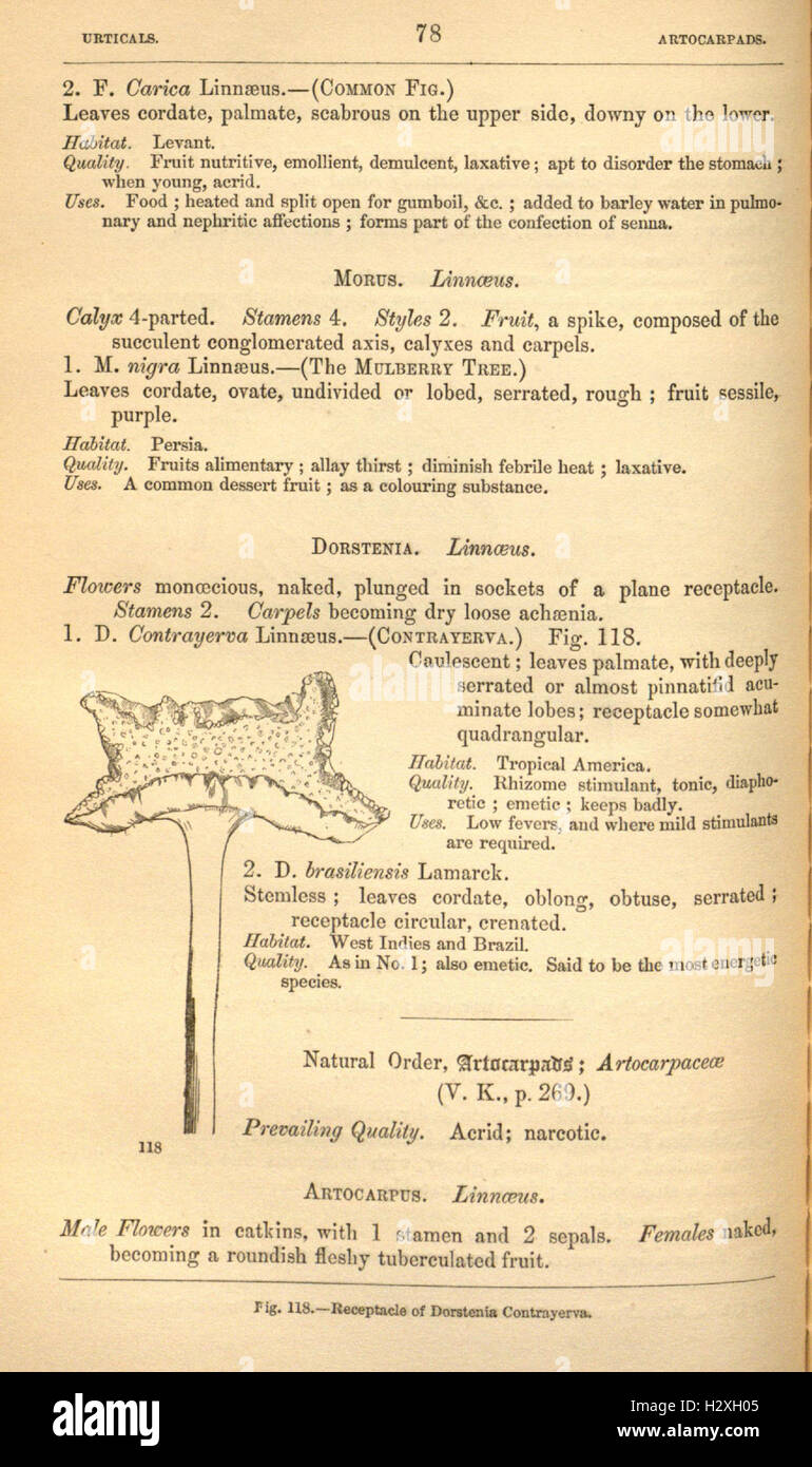 This work covers both the medical and economic aspects of botany ...