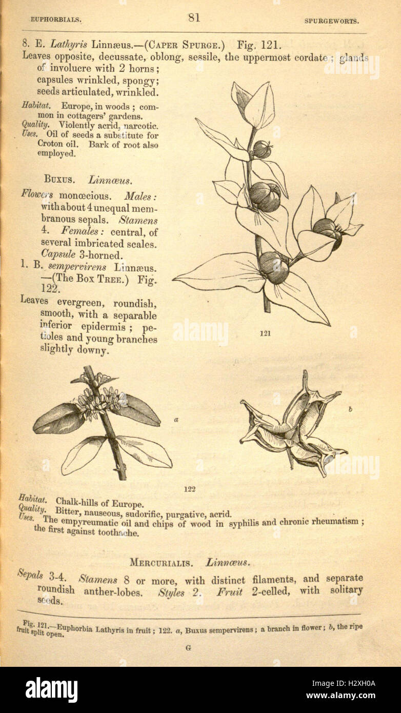 This text discusses both the medicinal and economic uses of plants ...