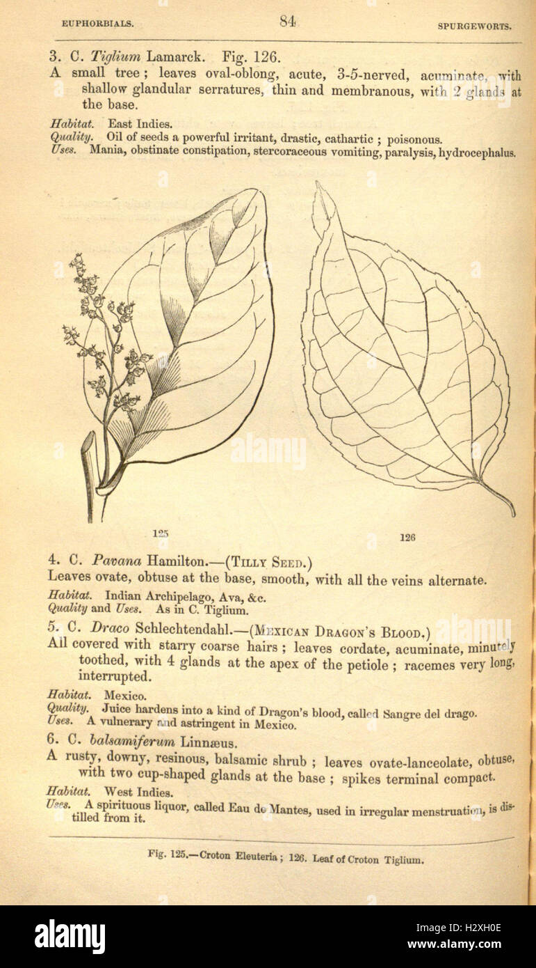 This work covers the fields of medical and economic botany, focusing on ...