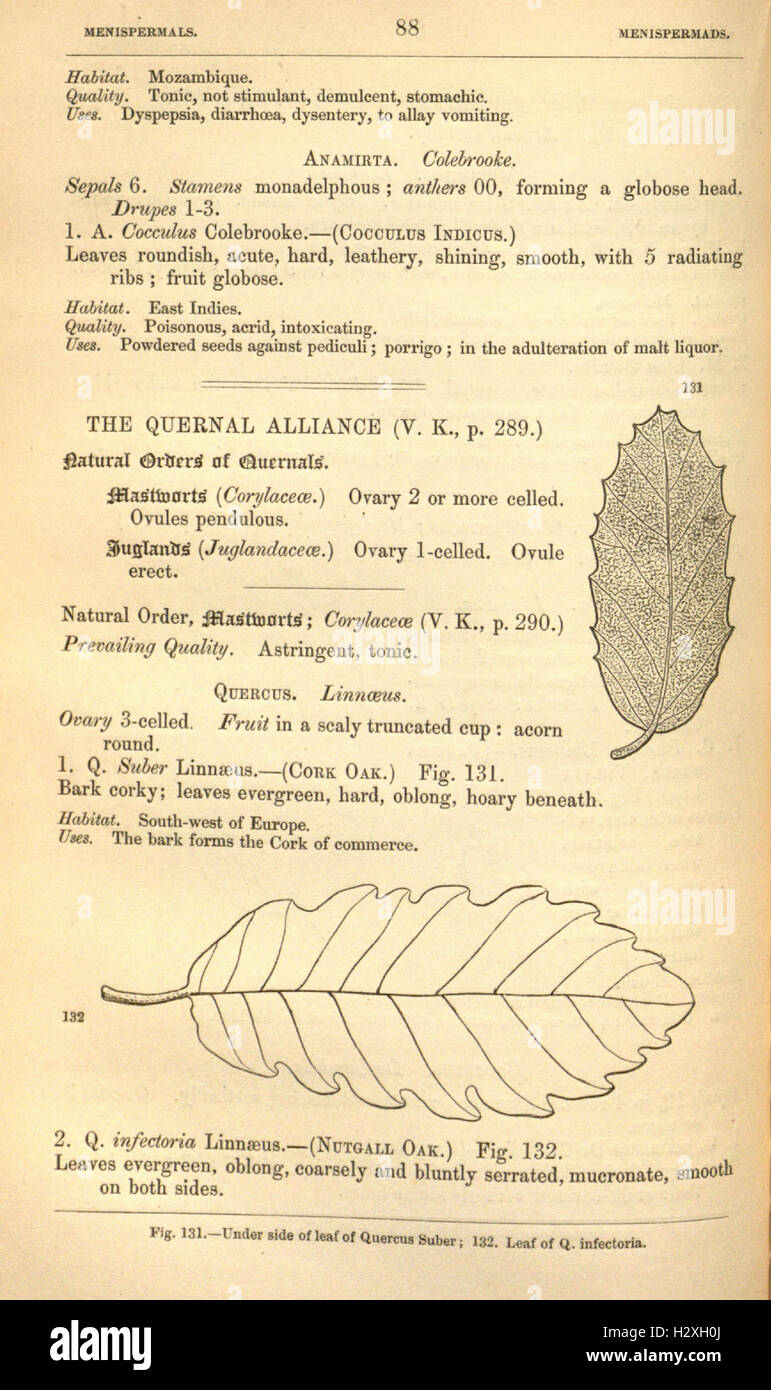 A botanical work focusing on both the medicinal and economic uses of ...