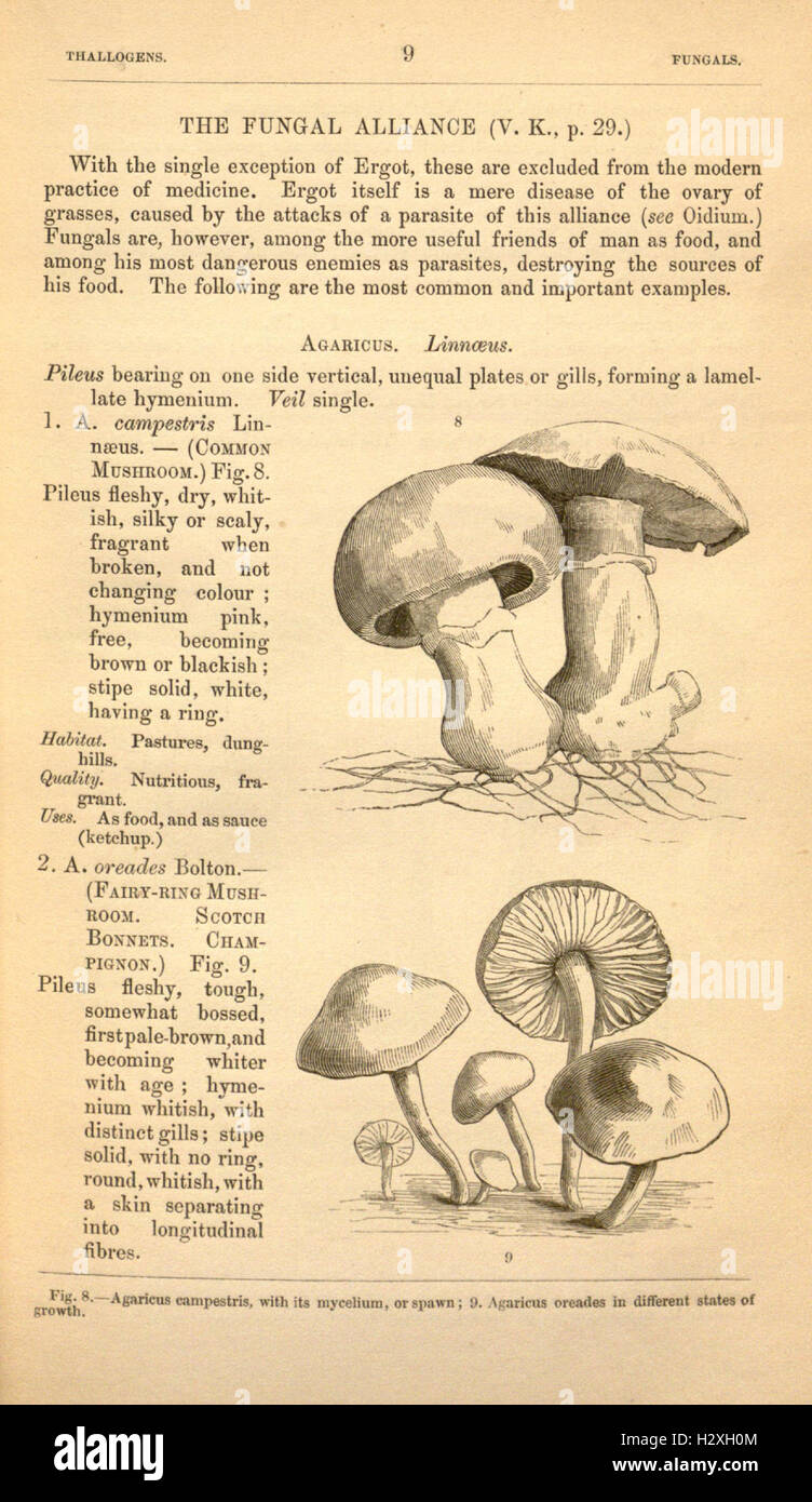 A study of the medicinal and economic uses of plants, exploring how ...