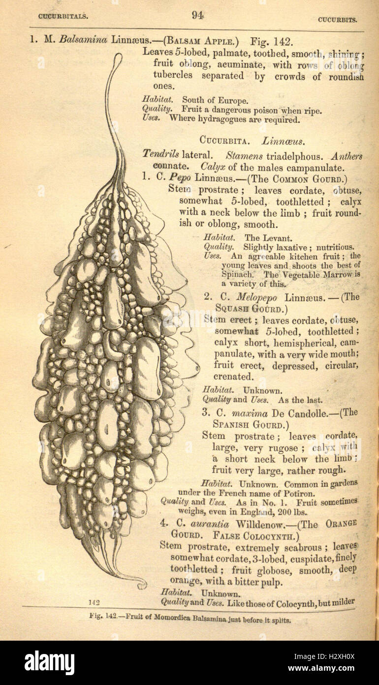 This page discusses the medicinal and economic uses of plants, focusing ...