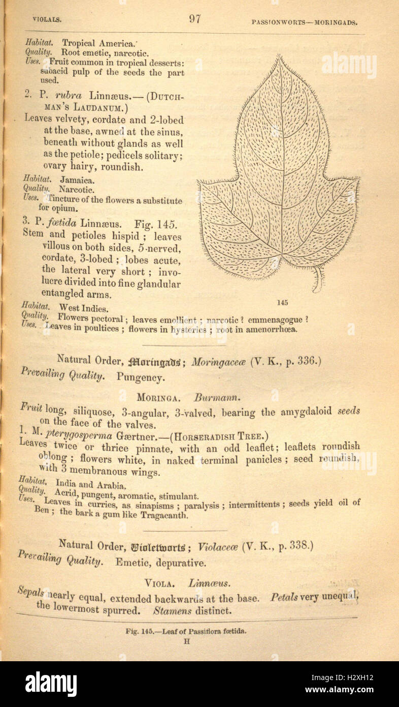 This section explores the medicinal and economic uses of plants ...