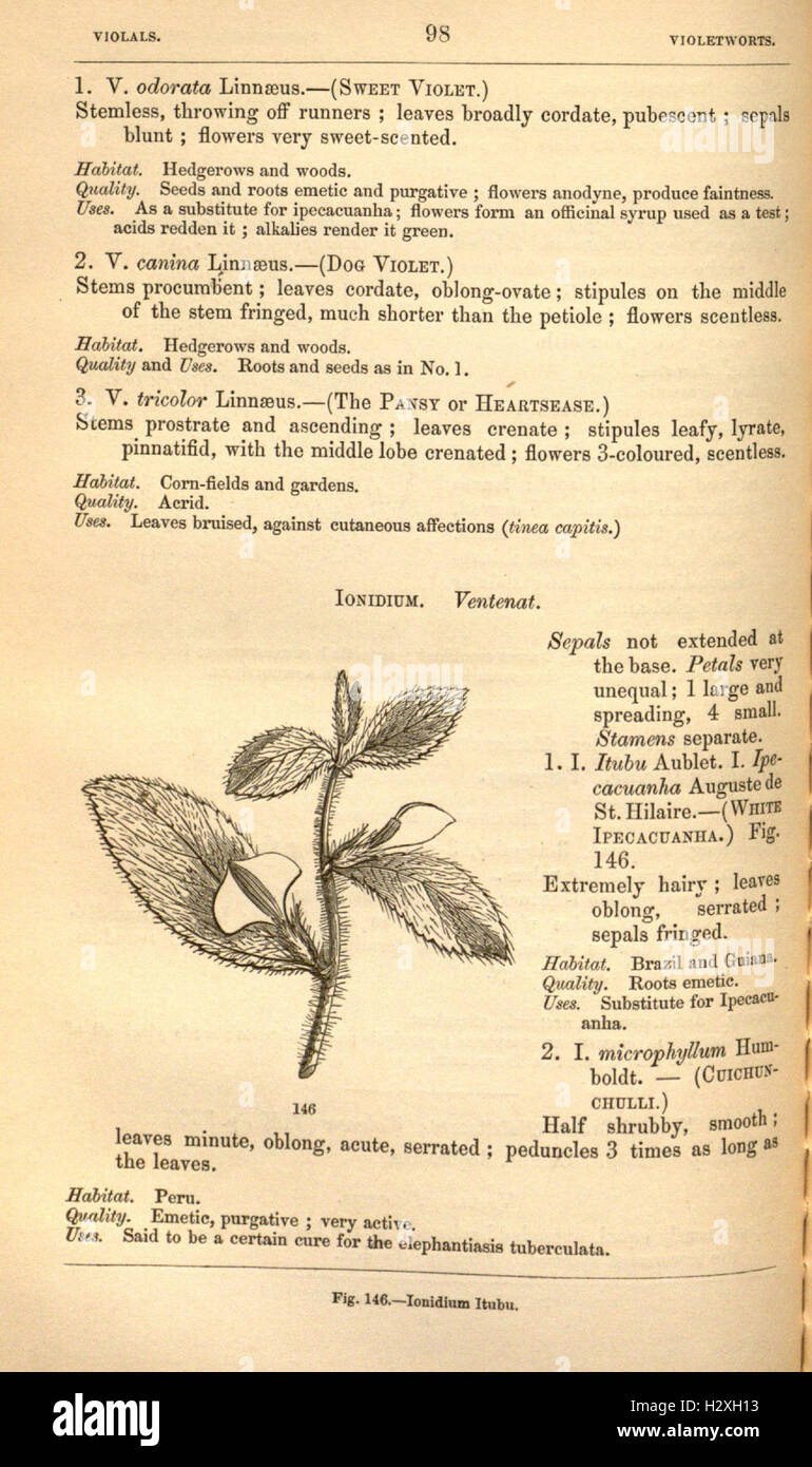 A study of plants with medicinal and economic uses, detailing their ...