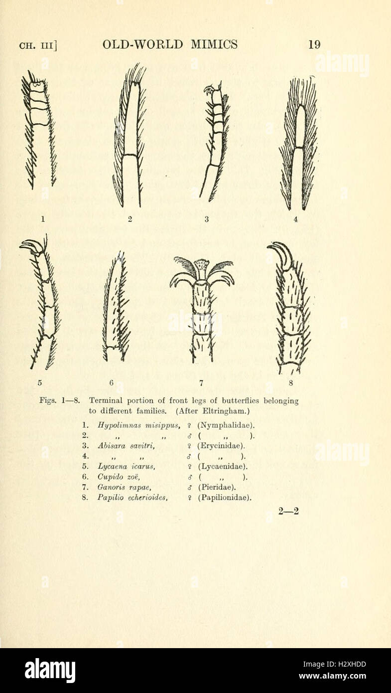 This section explores the phenomenon of mimicry in butterflies ...