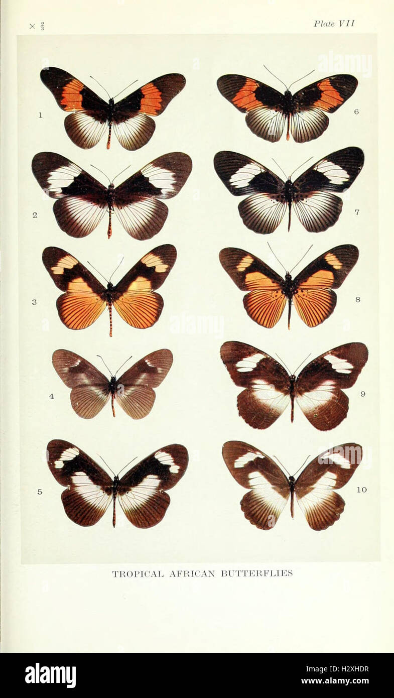 A study of mimicry in butterflies, examining the mechanisms and ...