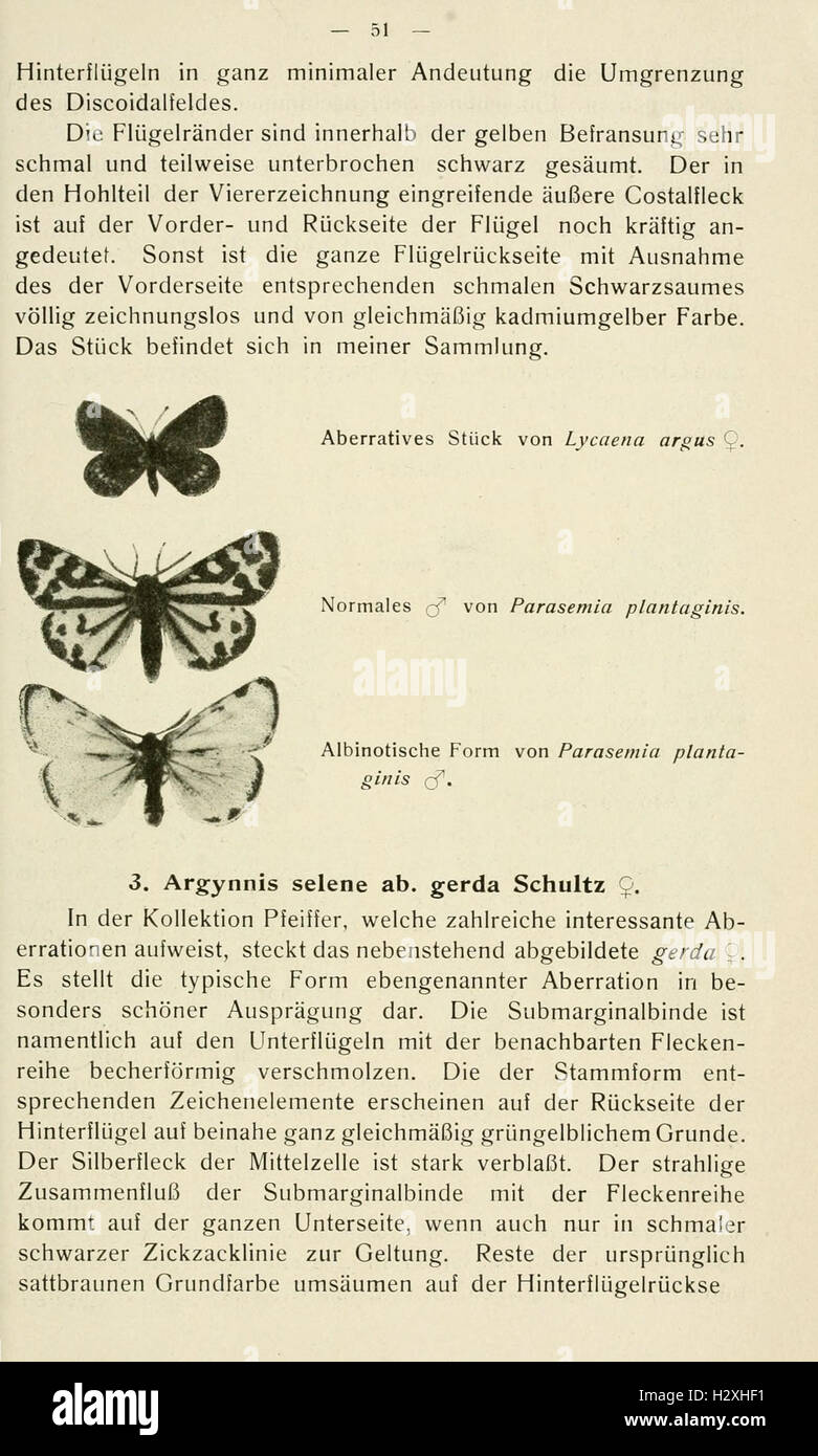 A publication from the Munich Entomological Society featuring studies ...
