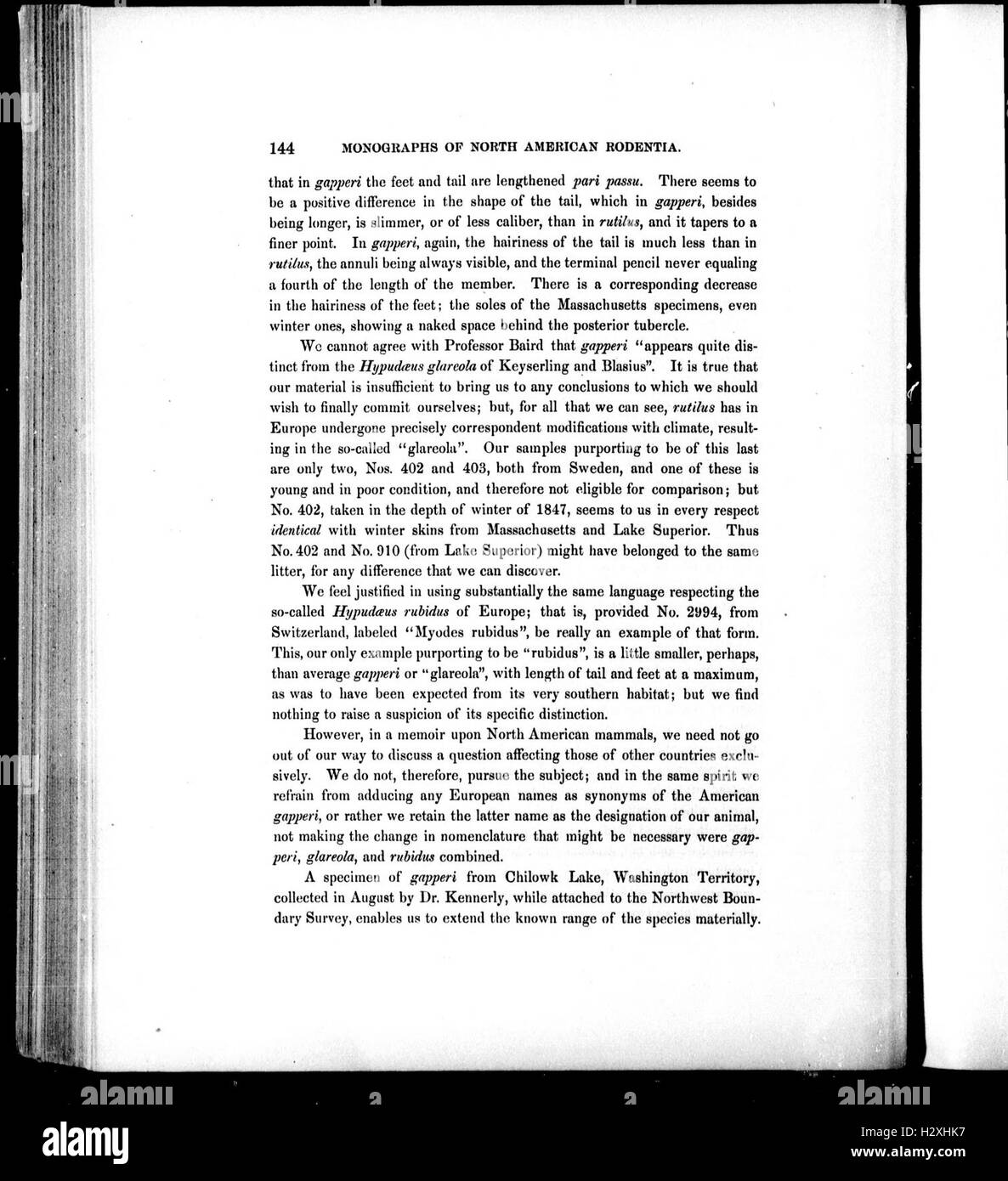 A monograph documenting various species of North American rodents ...