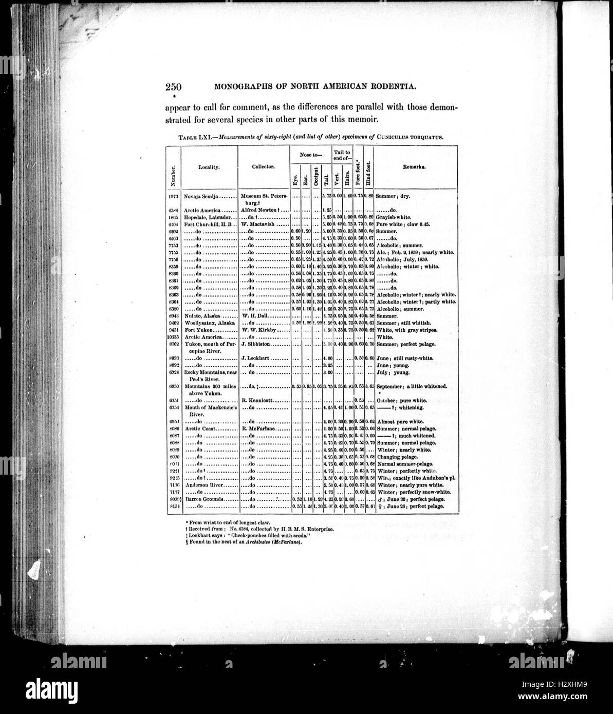 This monograph provides a detailed study of North American rodents ...