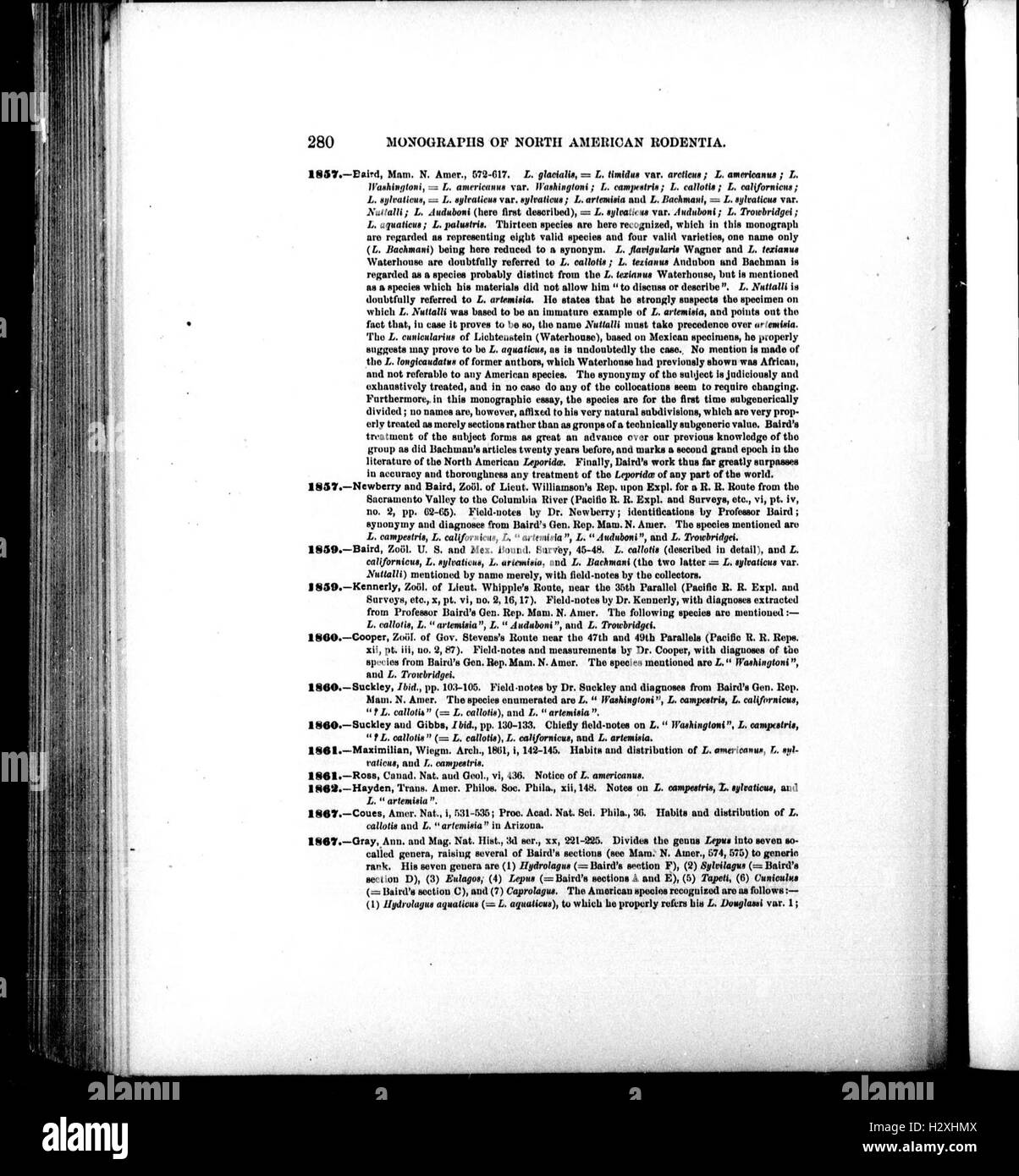 A comprehensive work detailing the species of North American rodents ...