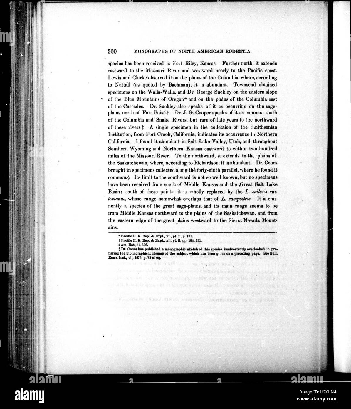 This monograph examines the various species of North American rodents ...