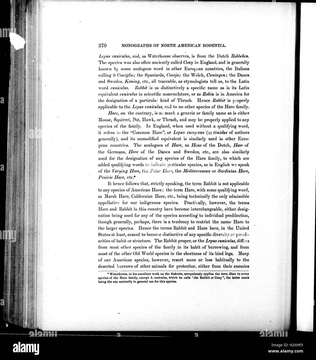 A detailed monograph focusing on the rodent species of North America ...