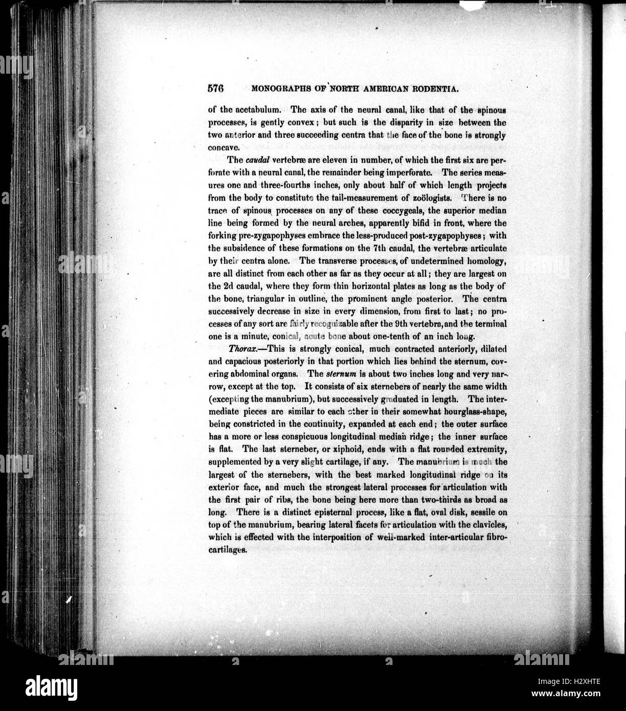 This monograph offers a comprehensive study of North American rodents ...