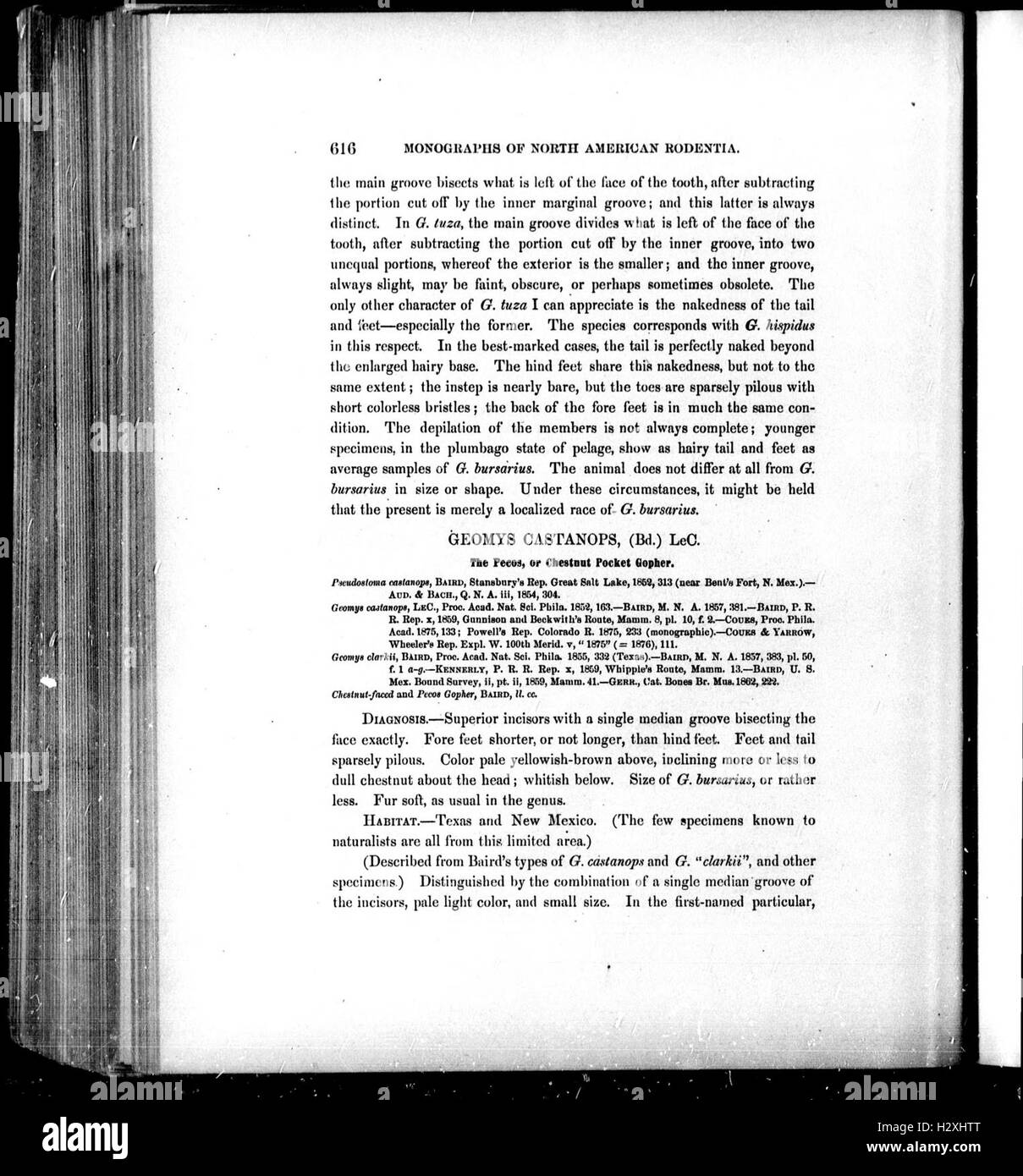 This monograph provides in-depth studies of North American rodent ...