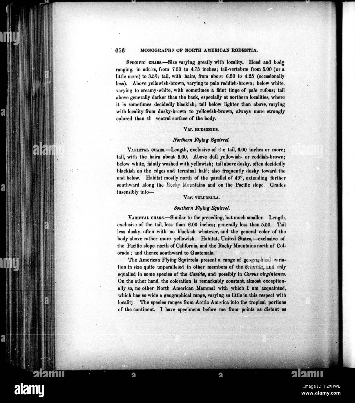 This work presents detailed monographs of North American rodent species ...