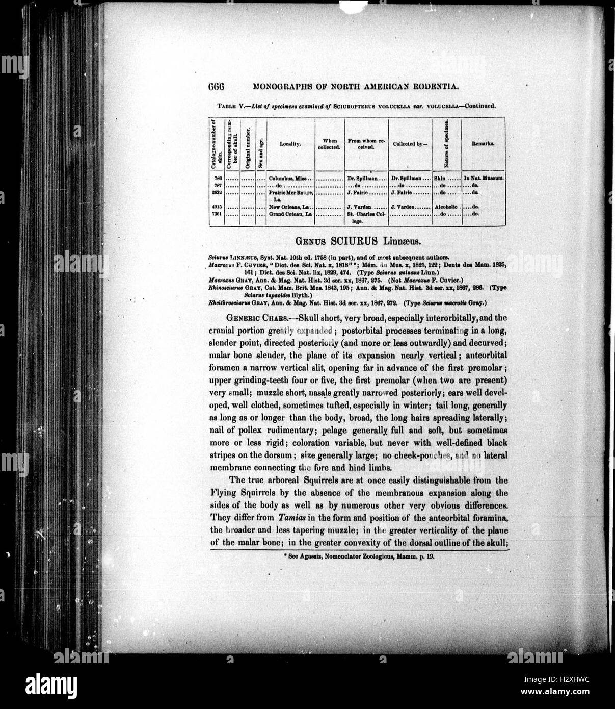 This monograph focuses on North American rodents, providing detailed ...