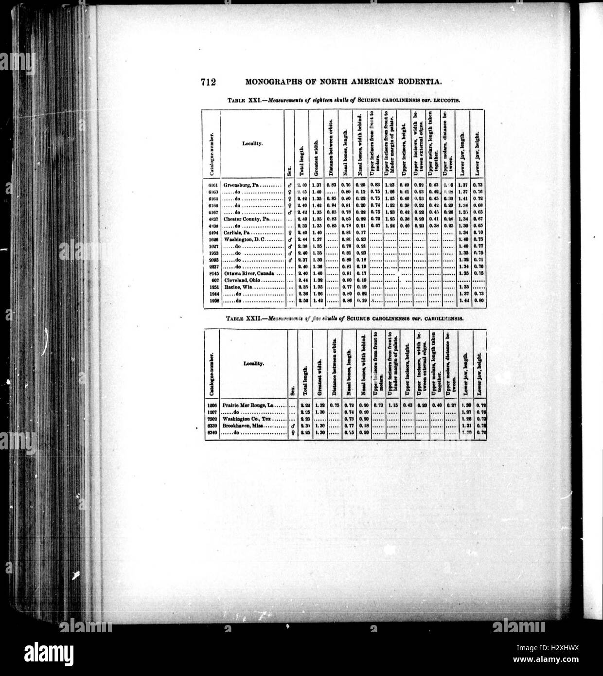 A detailed study of North American rodents, presenting comprehensive ...
