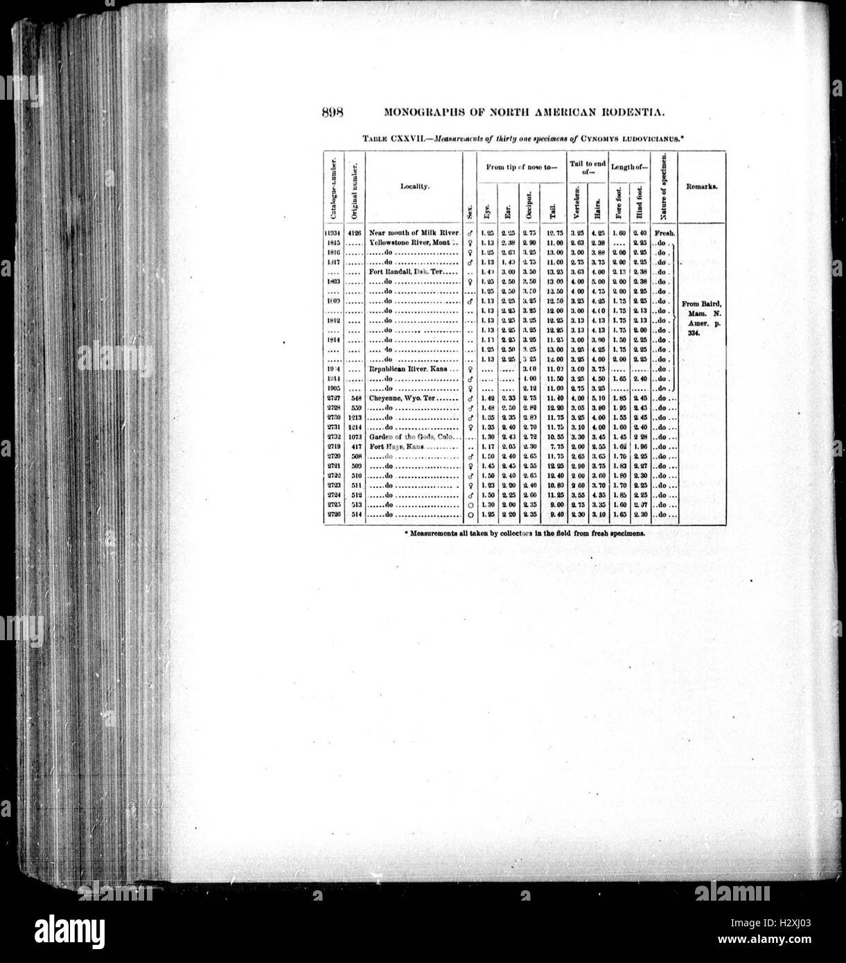 Monographs of North American Rodentia examines various rodent species ...