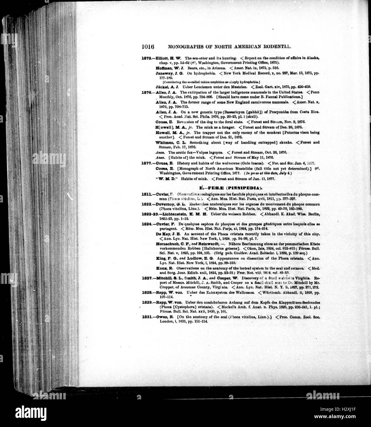 A detailed study of North American rodents, examining their species ...