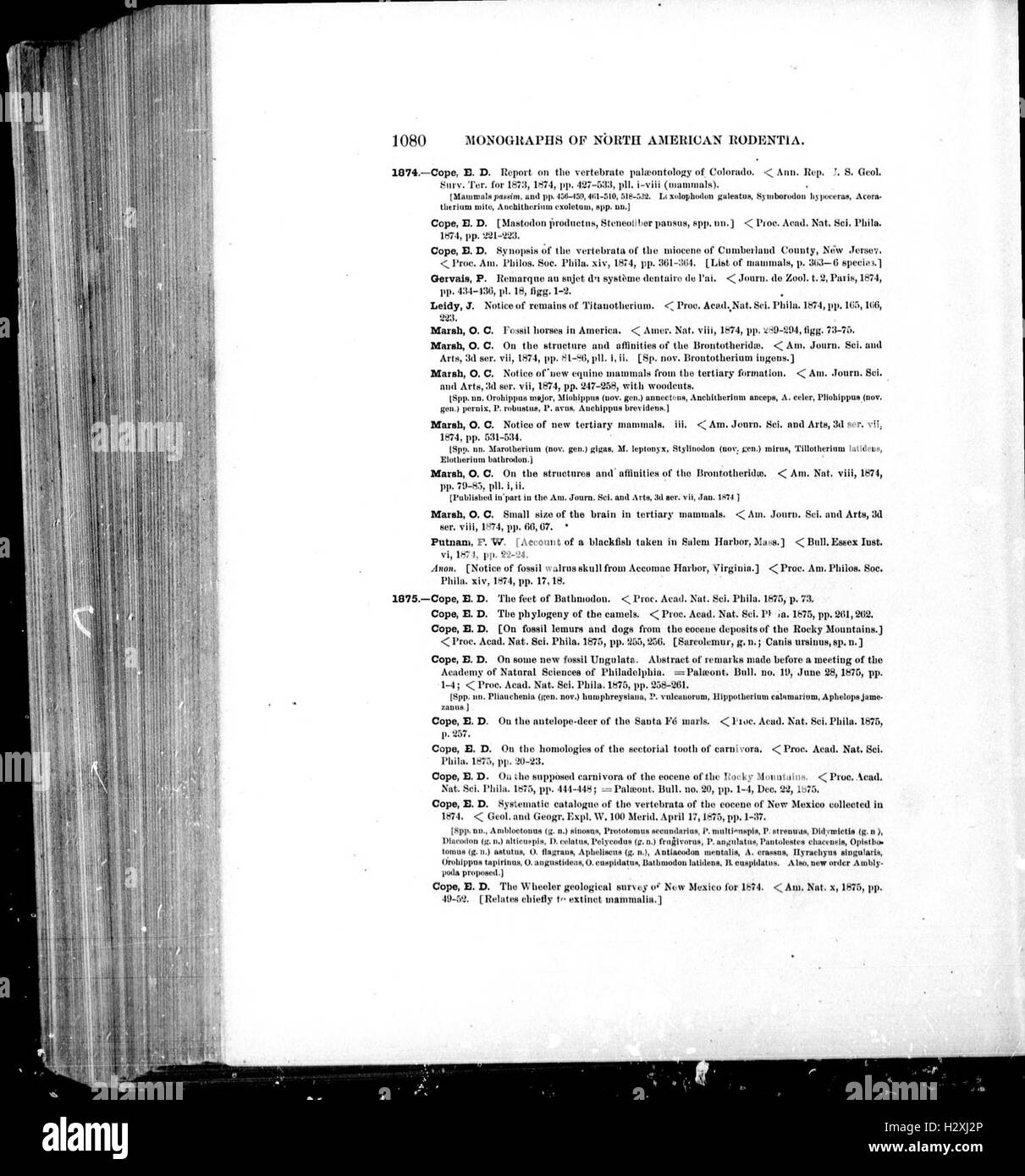 A study focusing on the classification, anatomy, and behavior of North ...