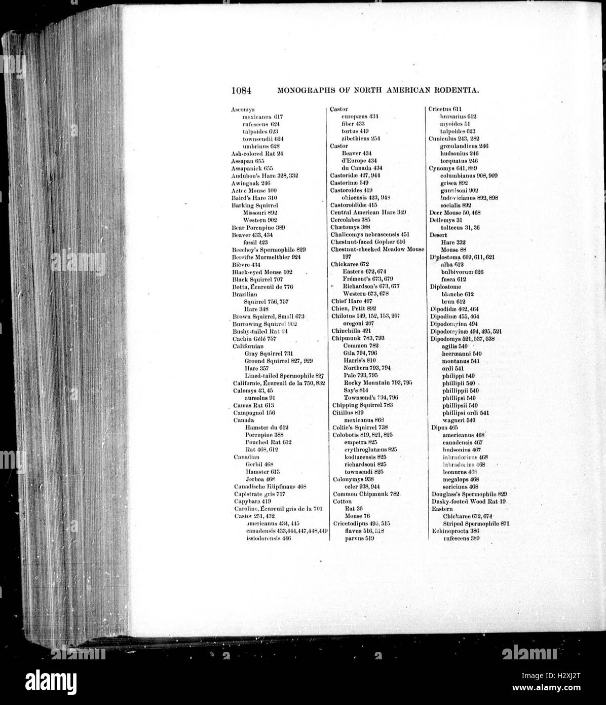 A comprehensive study of North American rodents, detailing their ...