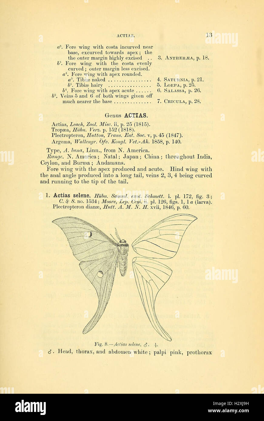 This entry provides detailed descriptions of various moth species ...