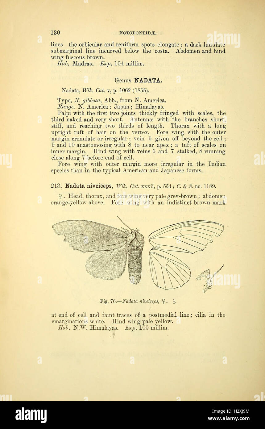 This work focuses on the detailed study of moth species, including ...
