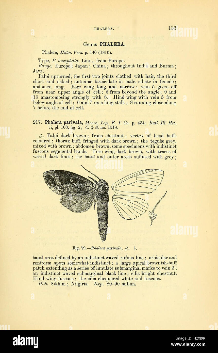 This page features various moth species, with detailed illustrations ...