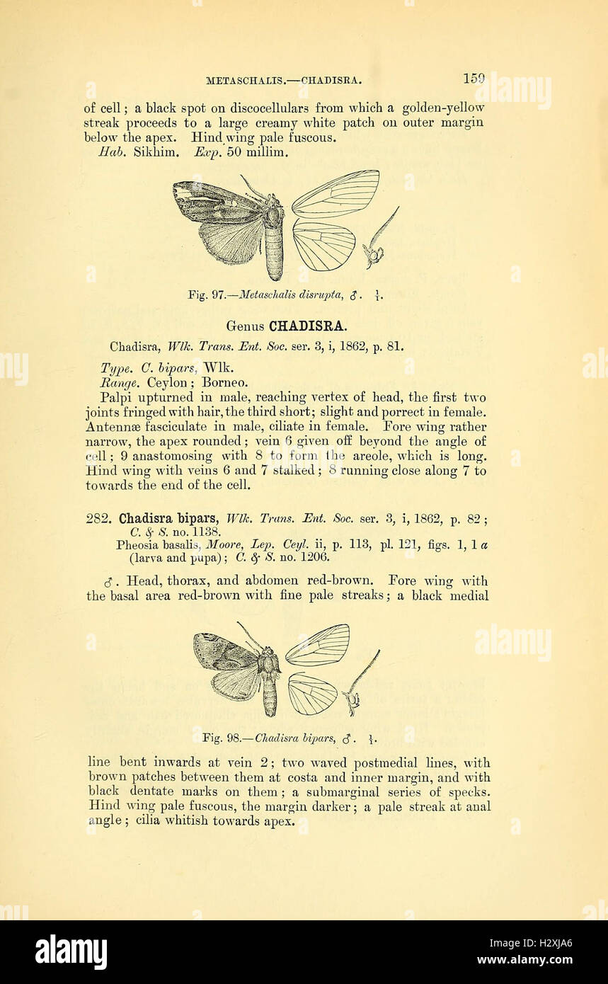 A comprehensive guide to moth species, including their identification ...
