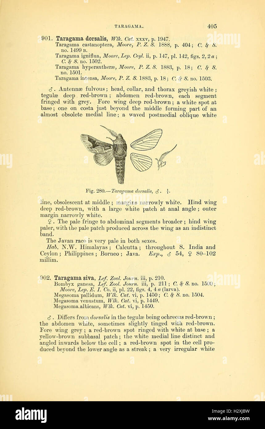 This page details various moth species, describing their ...