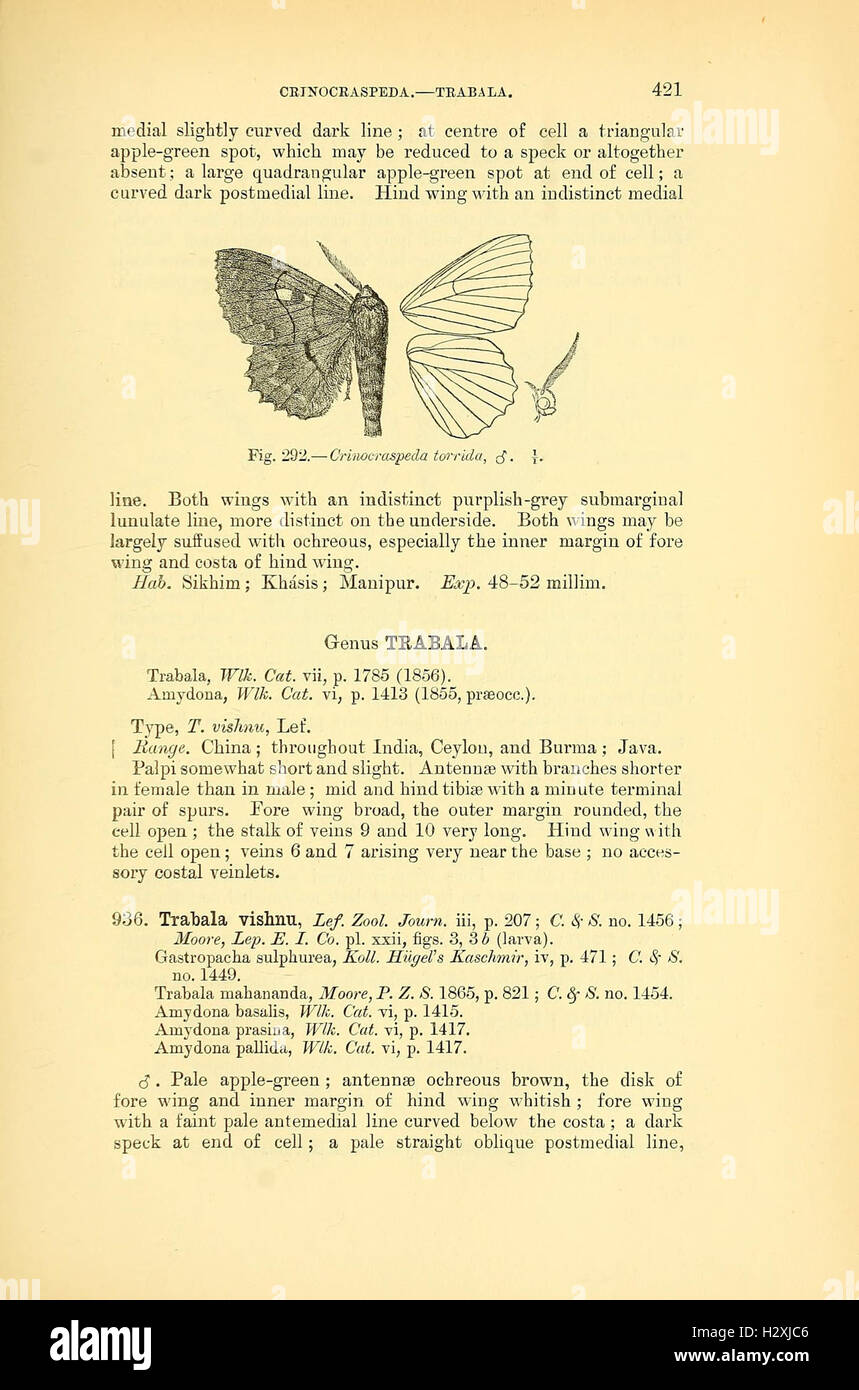 An informative section on various moth species, focusing on ...