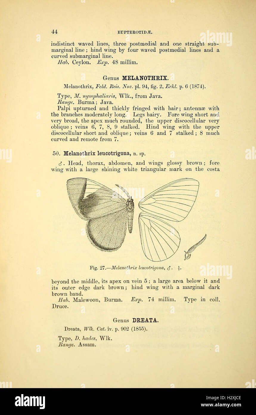 This section presents a detailed study of various moth species, their ...