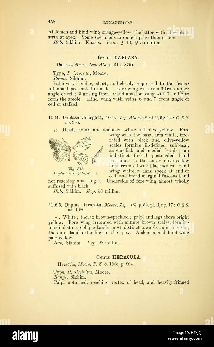 This page from the 'Moths' work focuses on various species of moths ...