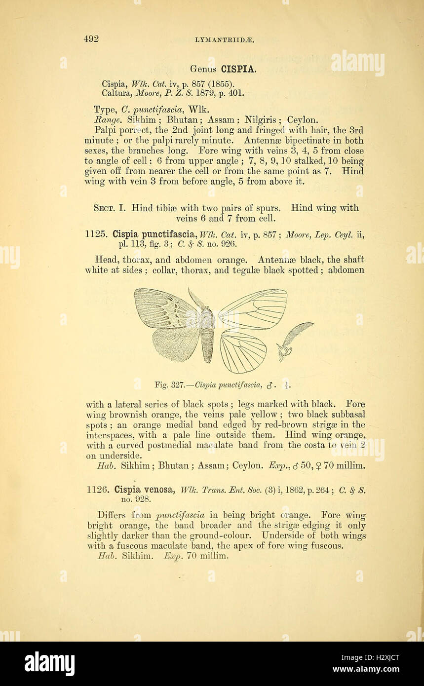 This page focuses on the study and identification of various moth ...