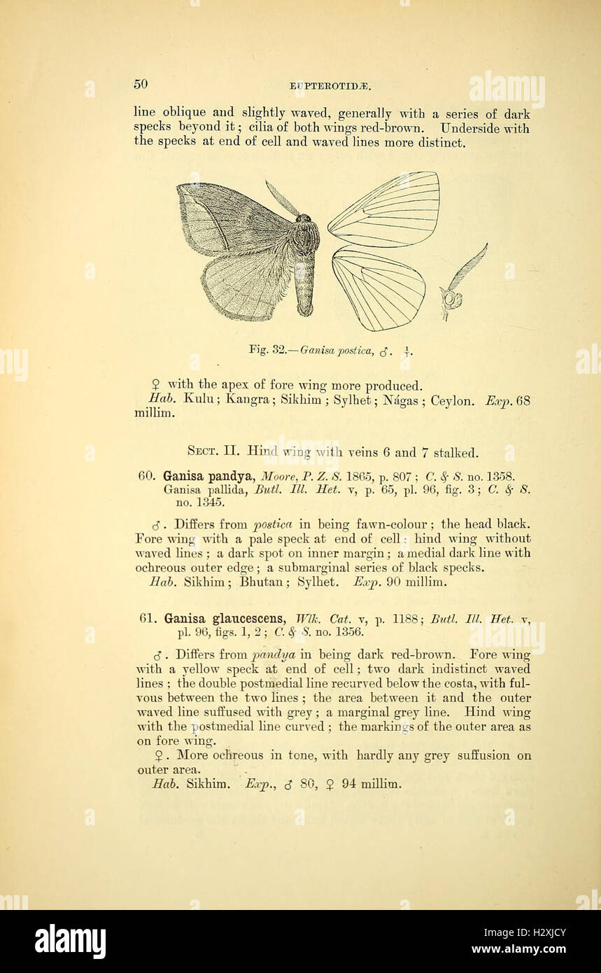 This work provides an overview of moth species, including their ...