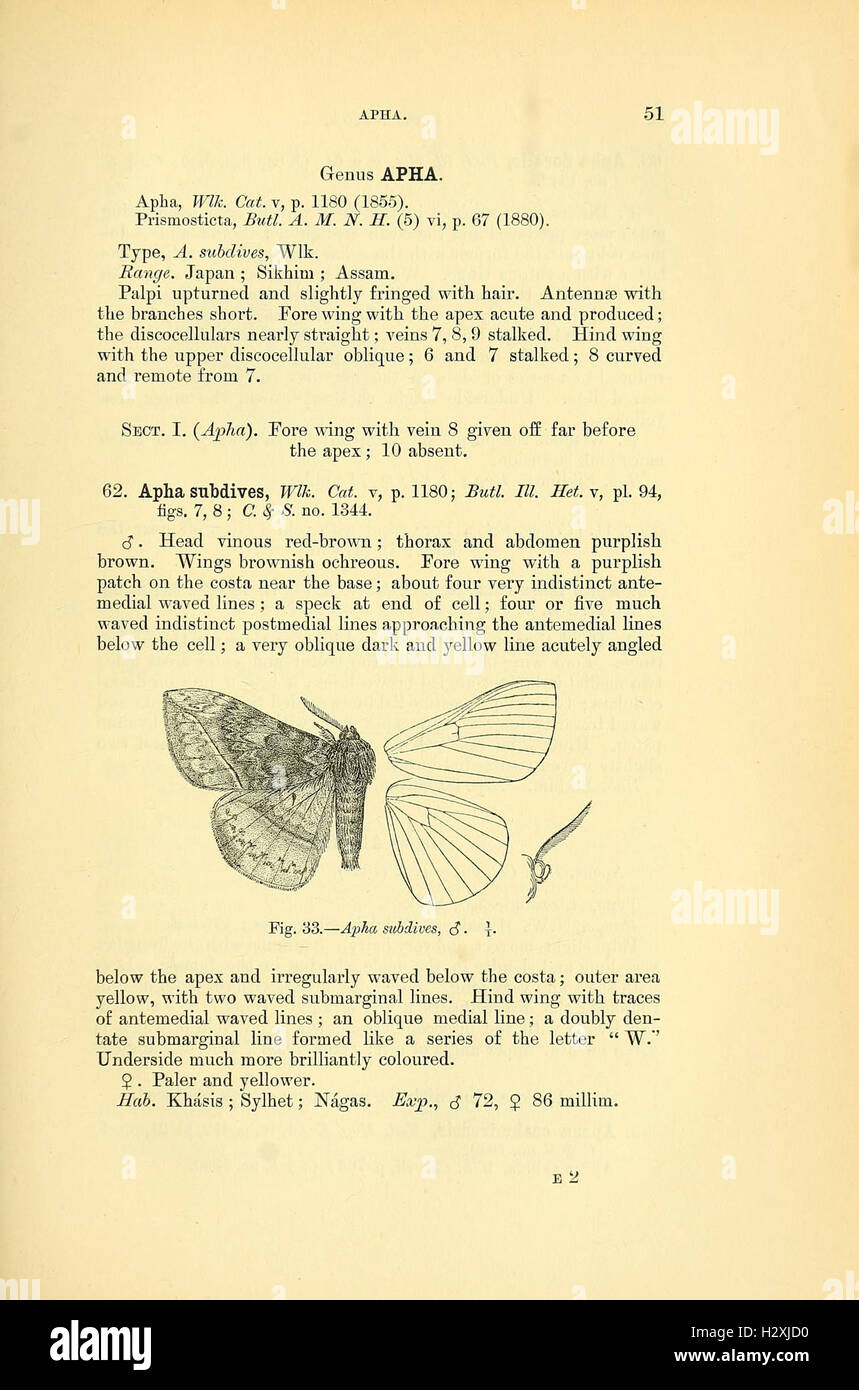This page features a study of moth species, highlighting their physical ...