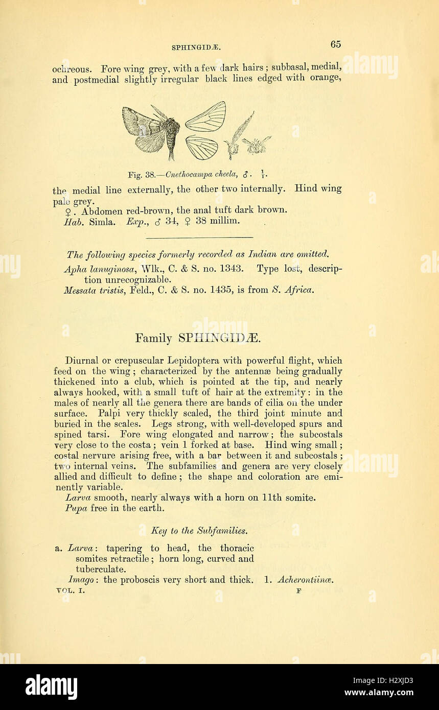 This work provides an overview of moth species, discussing their ...