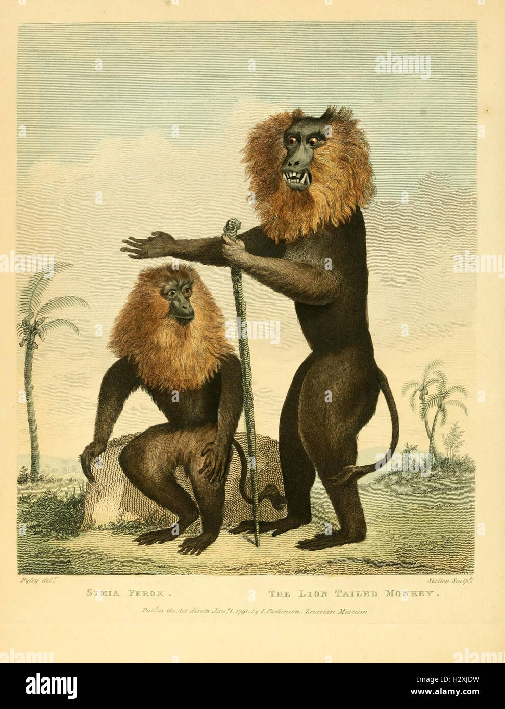 This work provides an explanation of the Leverian Museum’s collection ...