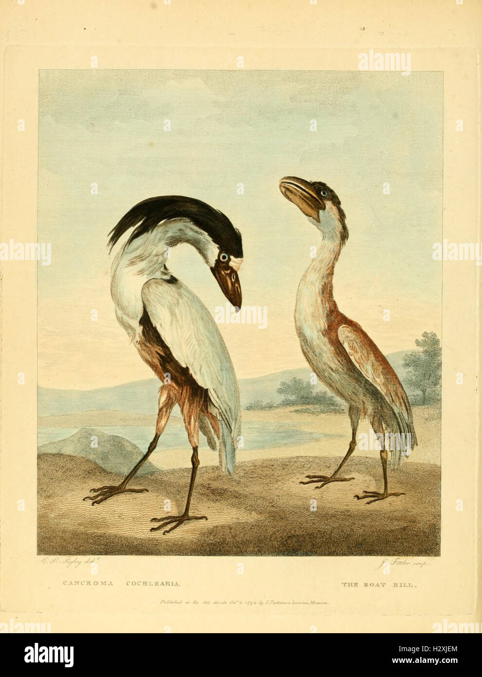 An explanation of the Leverian Museum's collection, presented in both ...