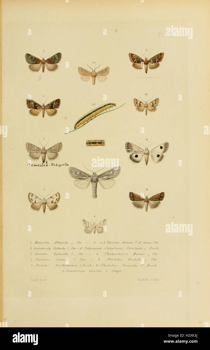 A historical work on lepidopterans, focusing on the classification ...