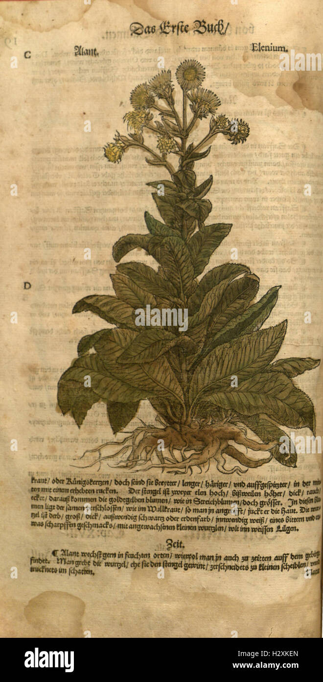 A botanical catalog describing new species, focusing on plant ...