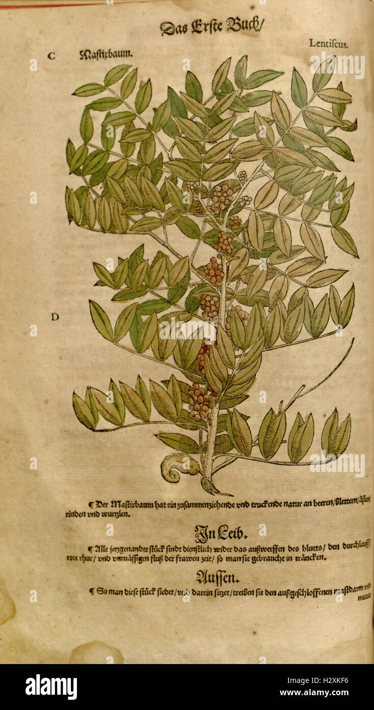 A detailed catalog and study of new plant species, focusing on taxonomy ...