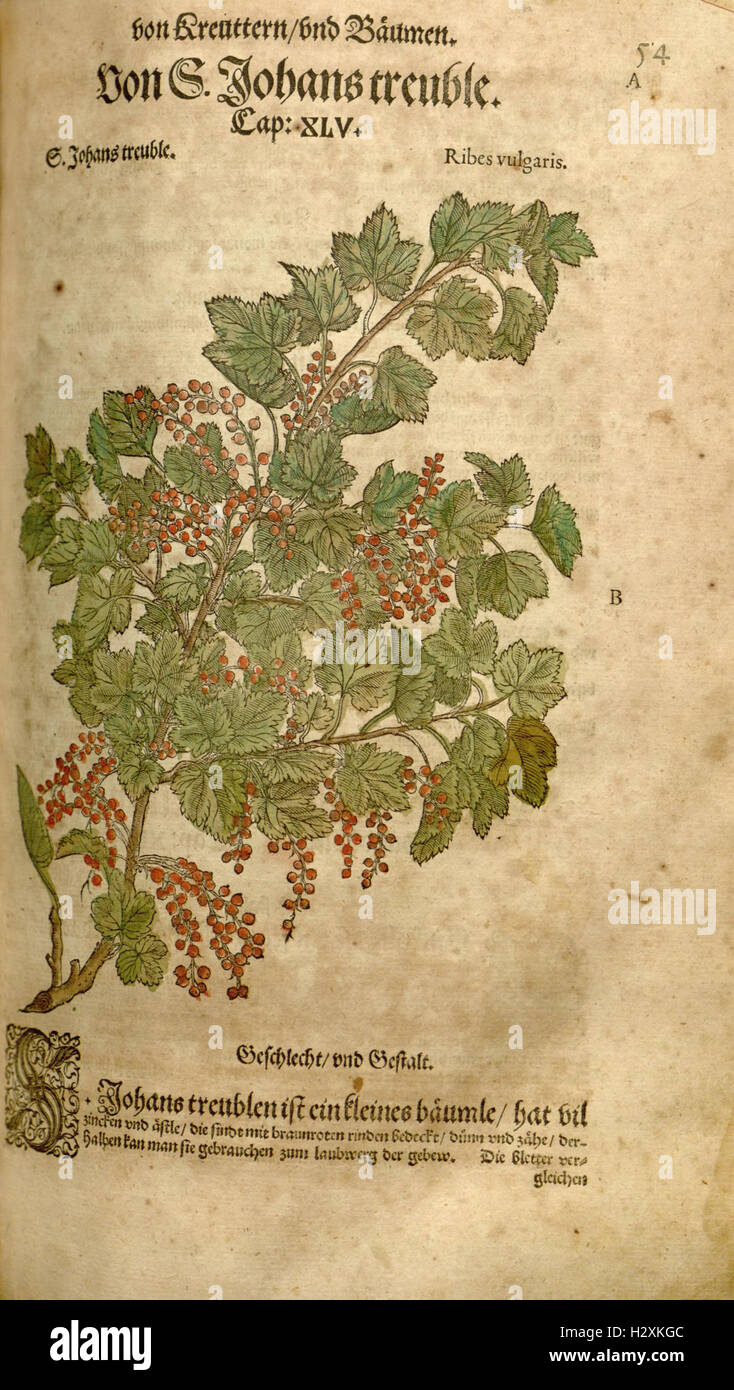 This dictionary of minerals provides detailed descriptions and ...