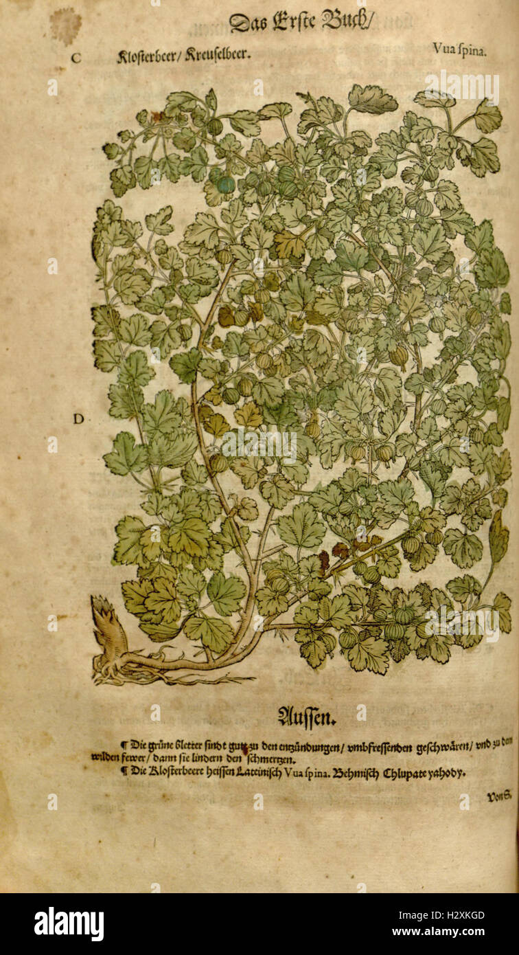 This botanical text provides a comprehensive guide to the ...